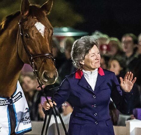 Mentoring Program - Equestrian Hub