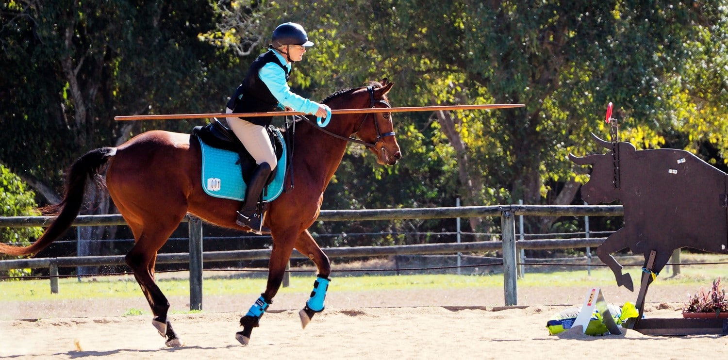 Top Tips to Improving your Working Equitation Scores - Equestrian Hub