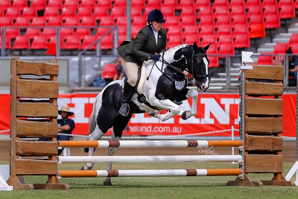 Breed Feature: The Standardbred - Equestrian Hub