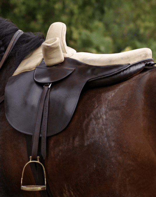 The Side Saddle - Equestrian Hub
