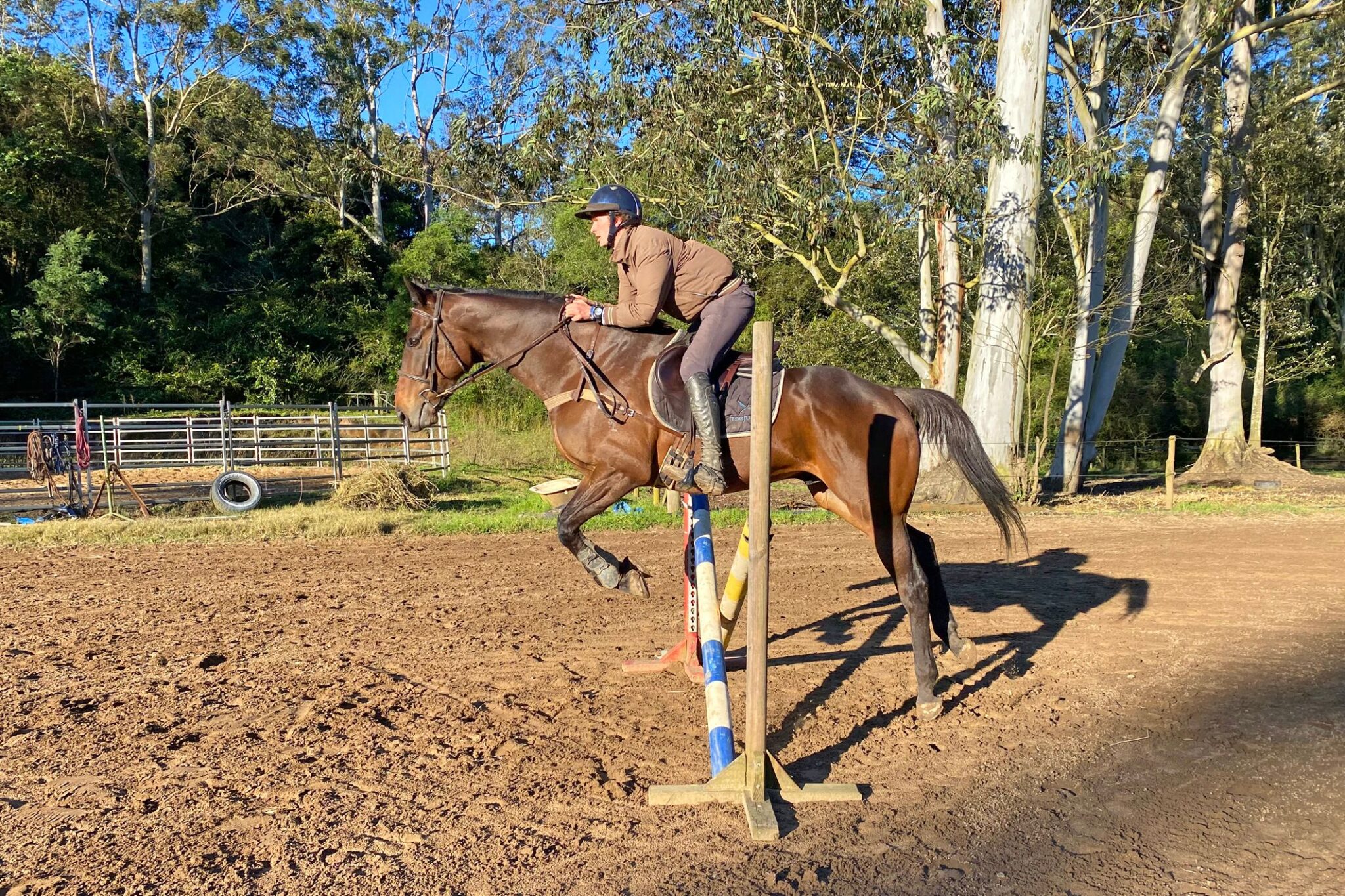 Bristers Brief: Good To Go Part 1 'Show Jumping' - Equestrian Hub