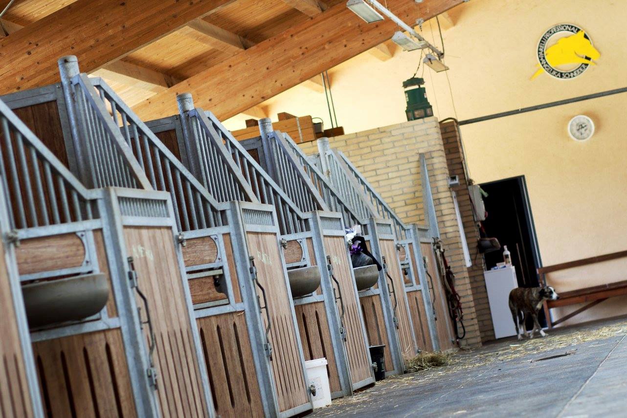 Sustainable Stables Around The World - Equestrian Hub