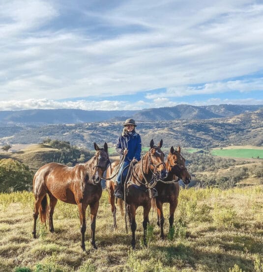 10 Polo Stables Around The World - Equestrian Hub