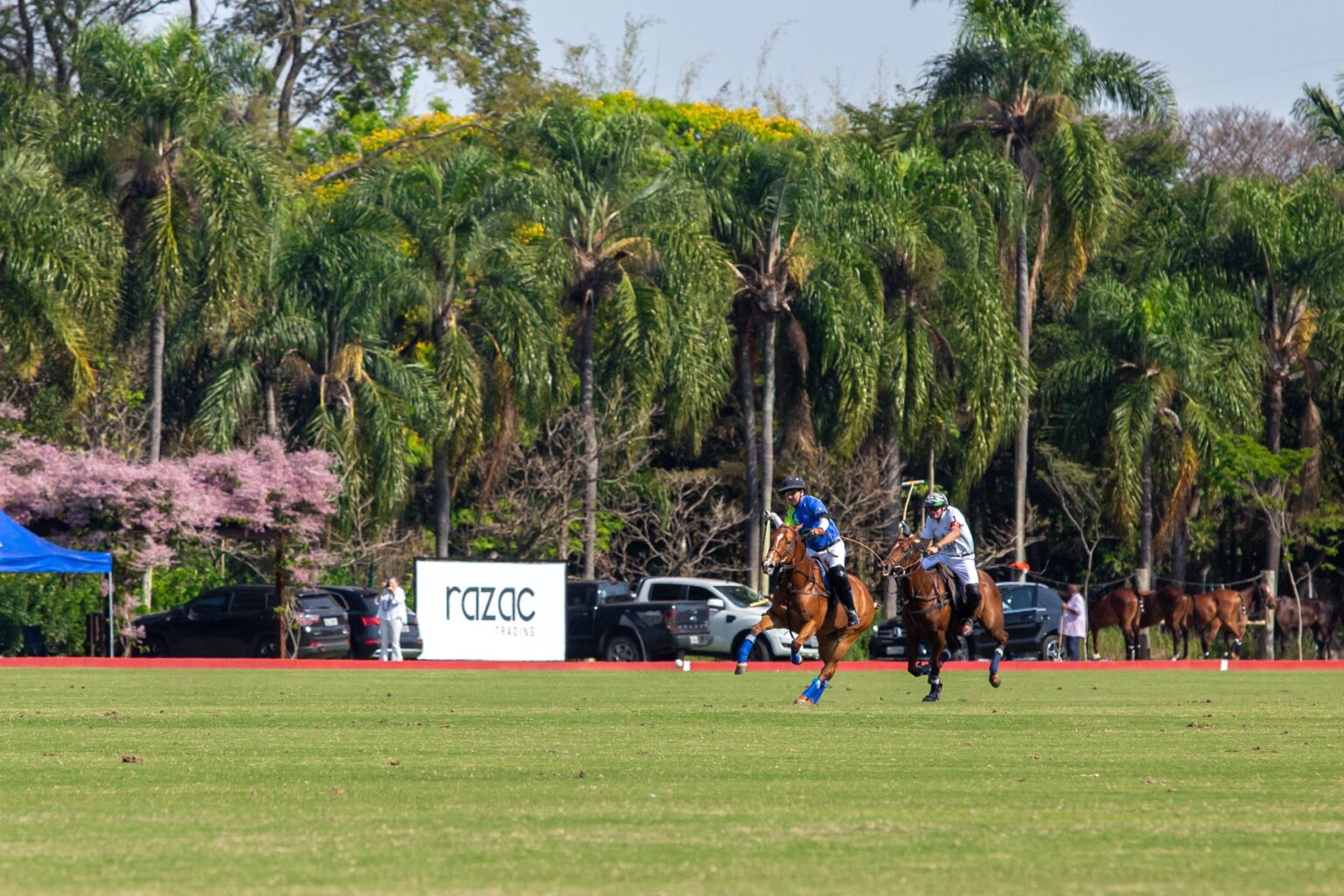 10 Polo Stables Around The World - Equestrian Hub