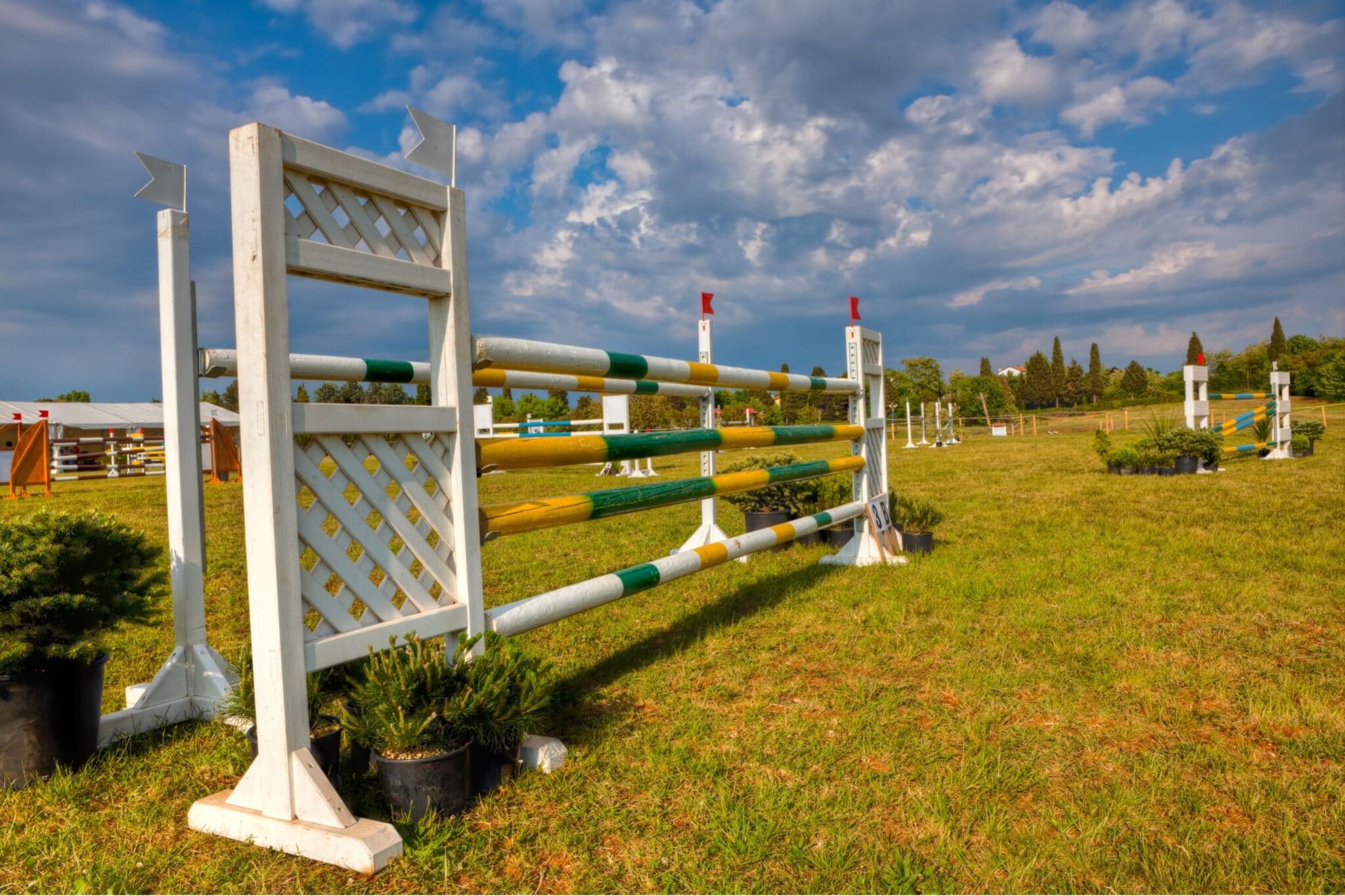 Showjumping Terminology - Equestrian Hub