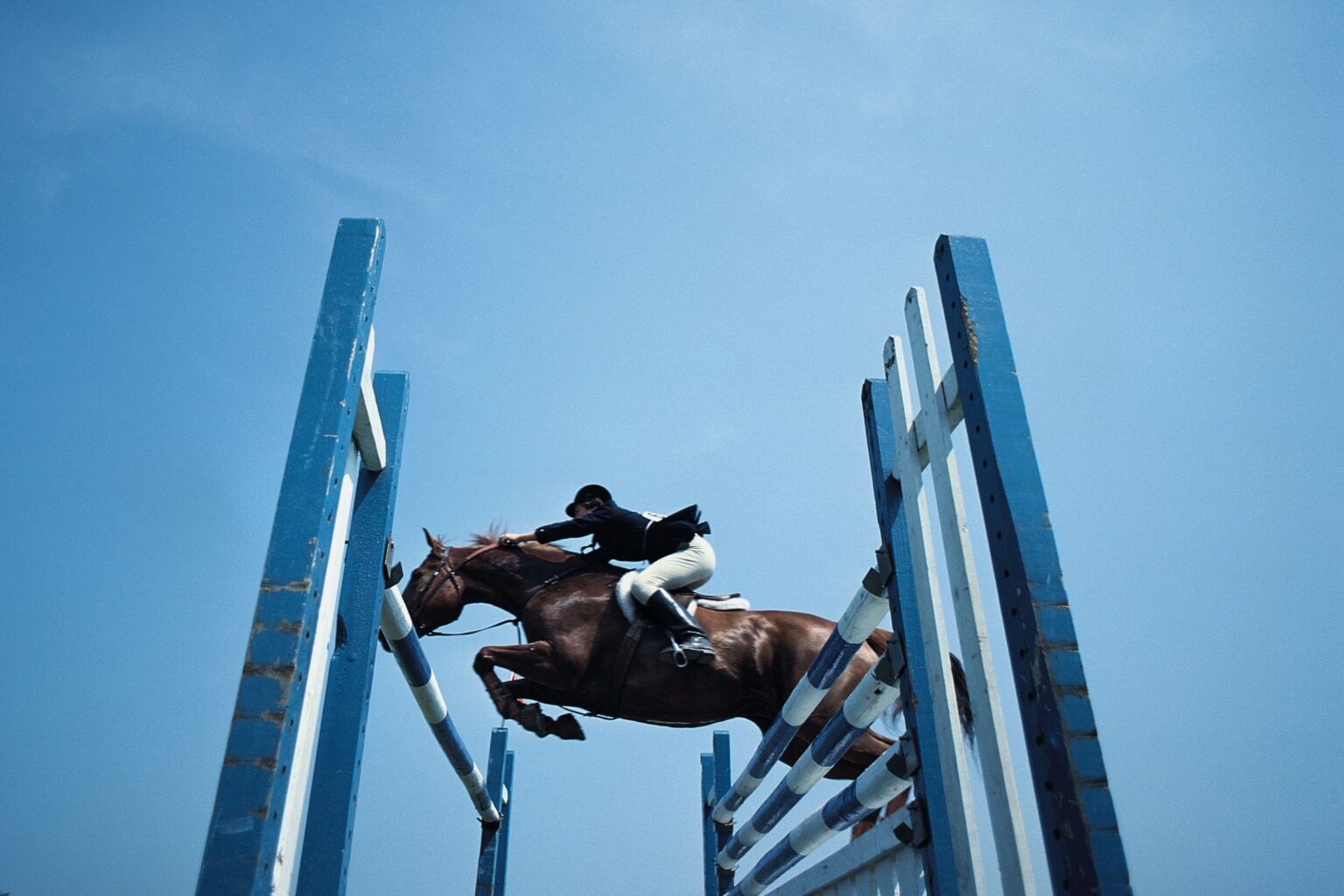 Showjumping Terminology - Equestrian Hub