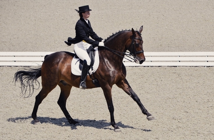 Dressage Movements Decoded - Equestrian Hub