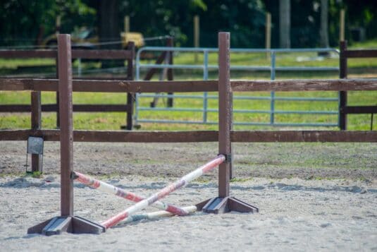 Showjumping Terminology - Equestrian Hub