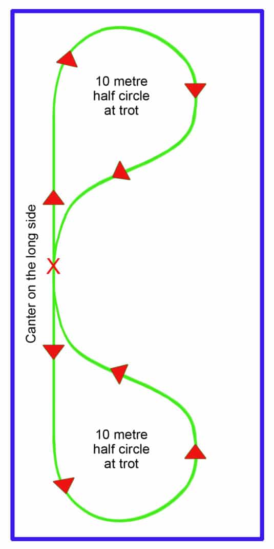 Brister's Brief: Teaching young horses to jump - part 1 - Equestrian Hub