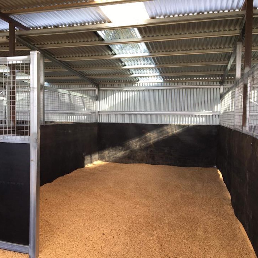 Beat Boggy Paddocks like an Olympic Eventer - Equestrian Hub