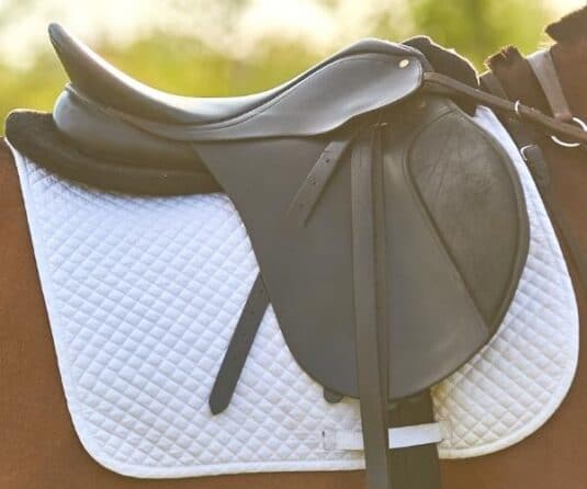 What Saddle Pad Should I Use? - Equestrian Hub