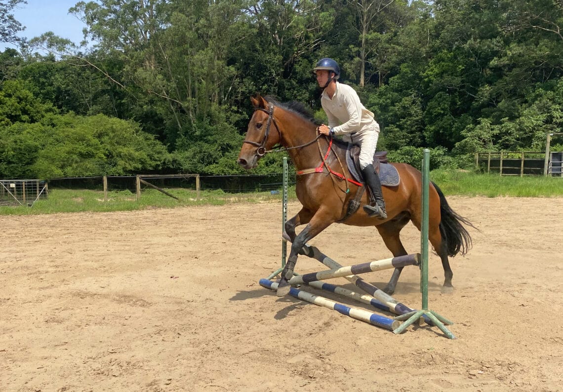 Bristers Brief: Part 2 Teaching Young Horses to Jump - Equestrian Hub
