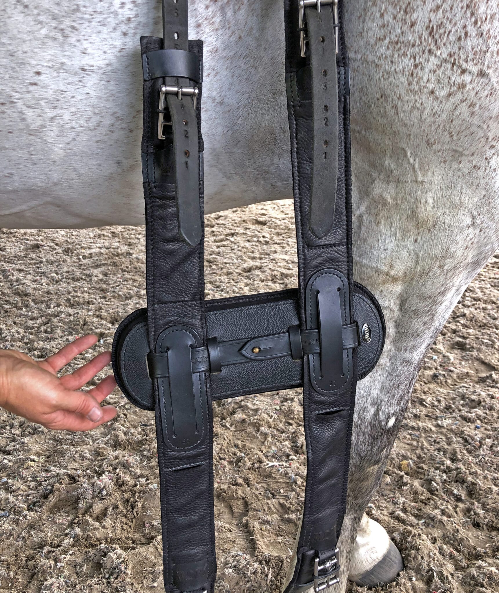 Getting to Grips with Girths: Part 2 - Equestrian Hub