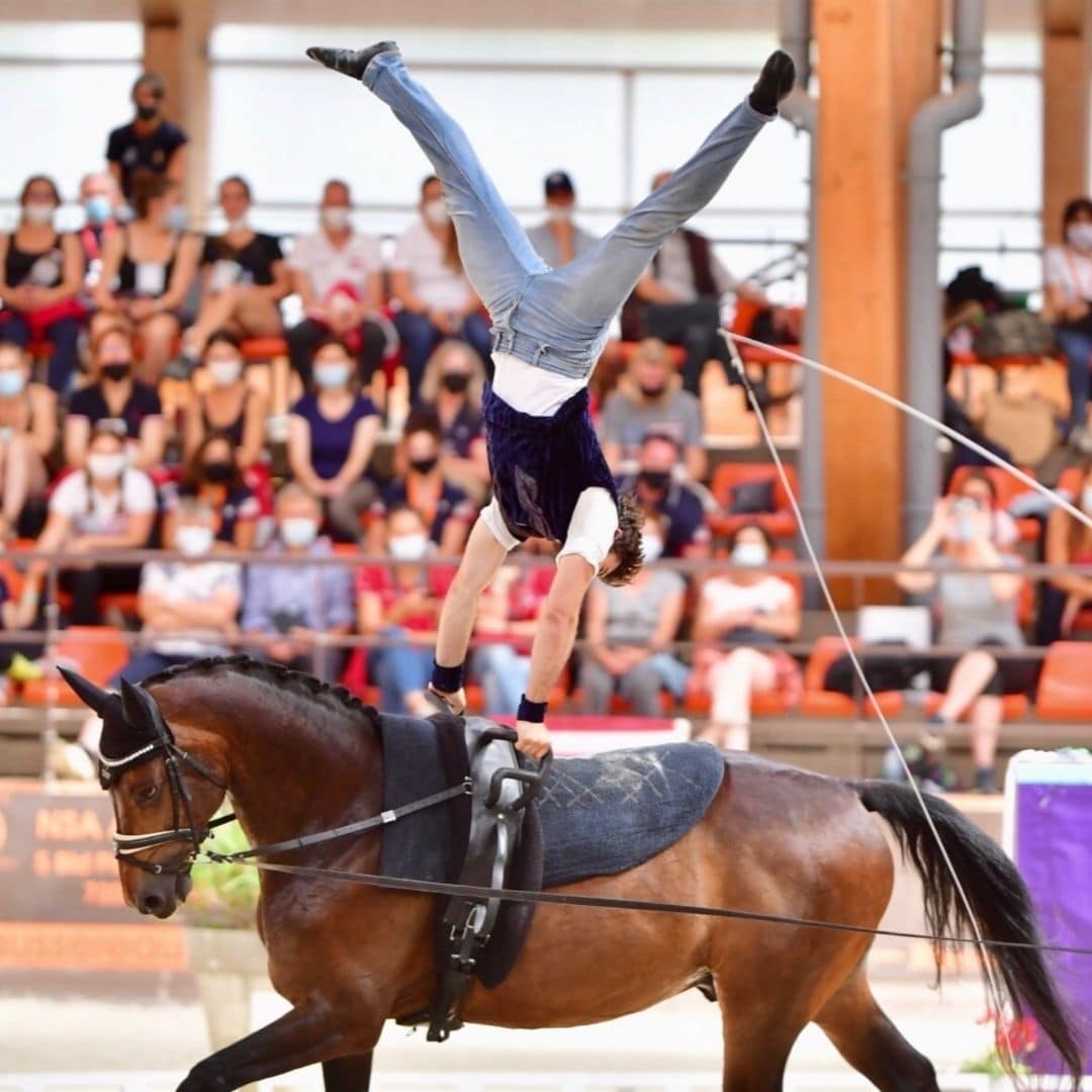 Mentors - Equestrian Hub