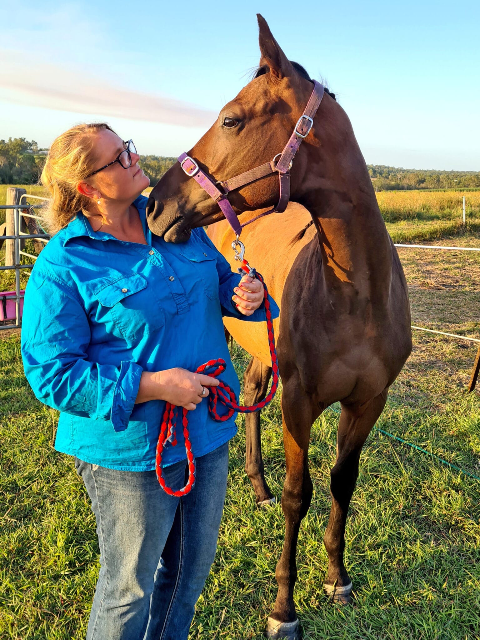 2022 Delivering Dreams Shortlist - Equestrian Hub