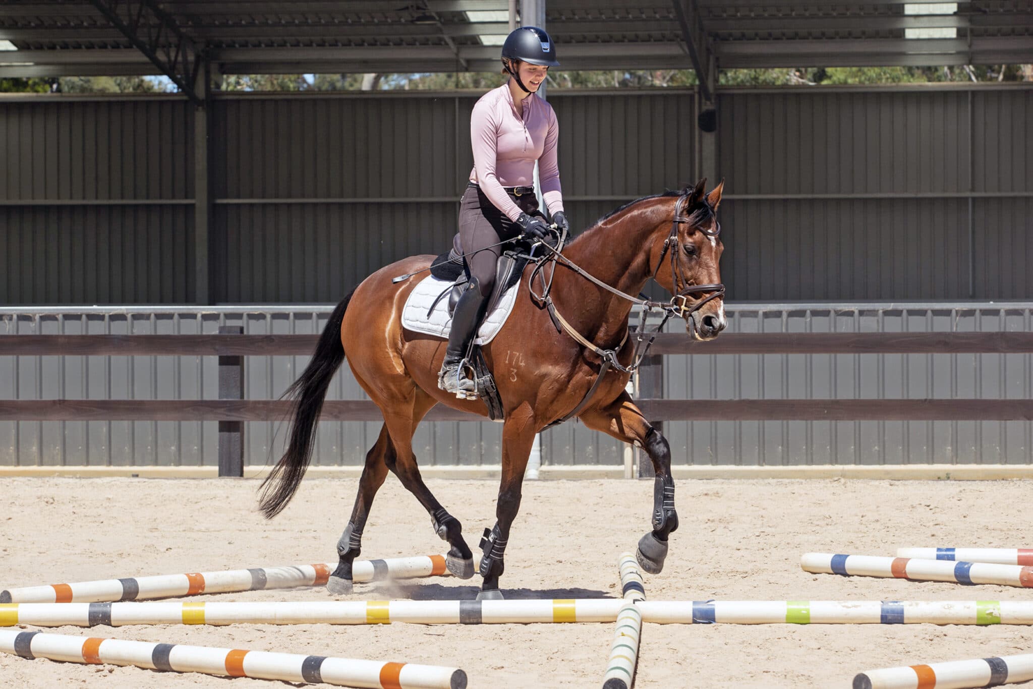 Lucy Williams Playing with patterns - Equestrian Hub