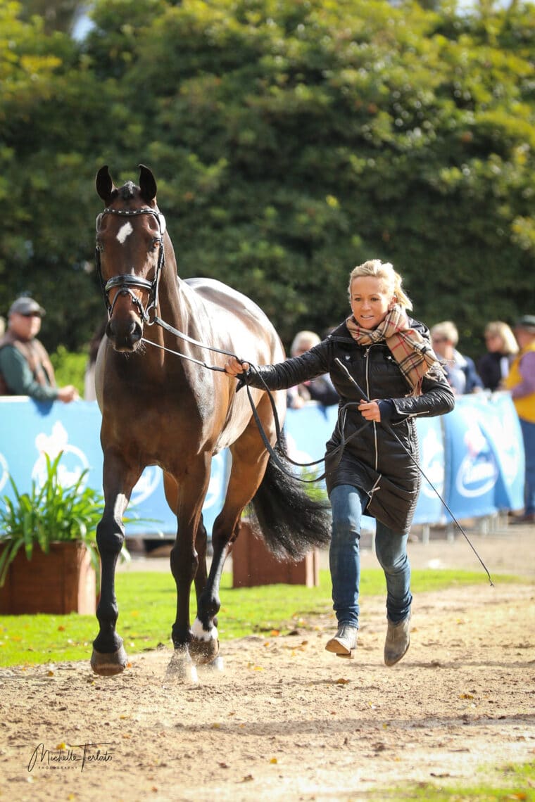 Keeping it real with Amanda Ross - Equestrian Hub