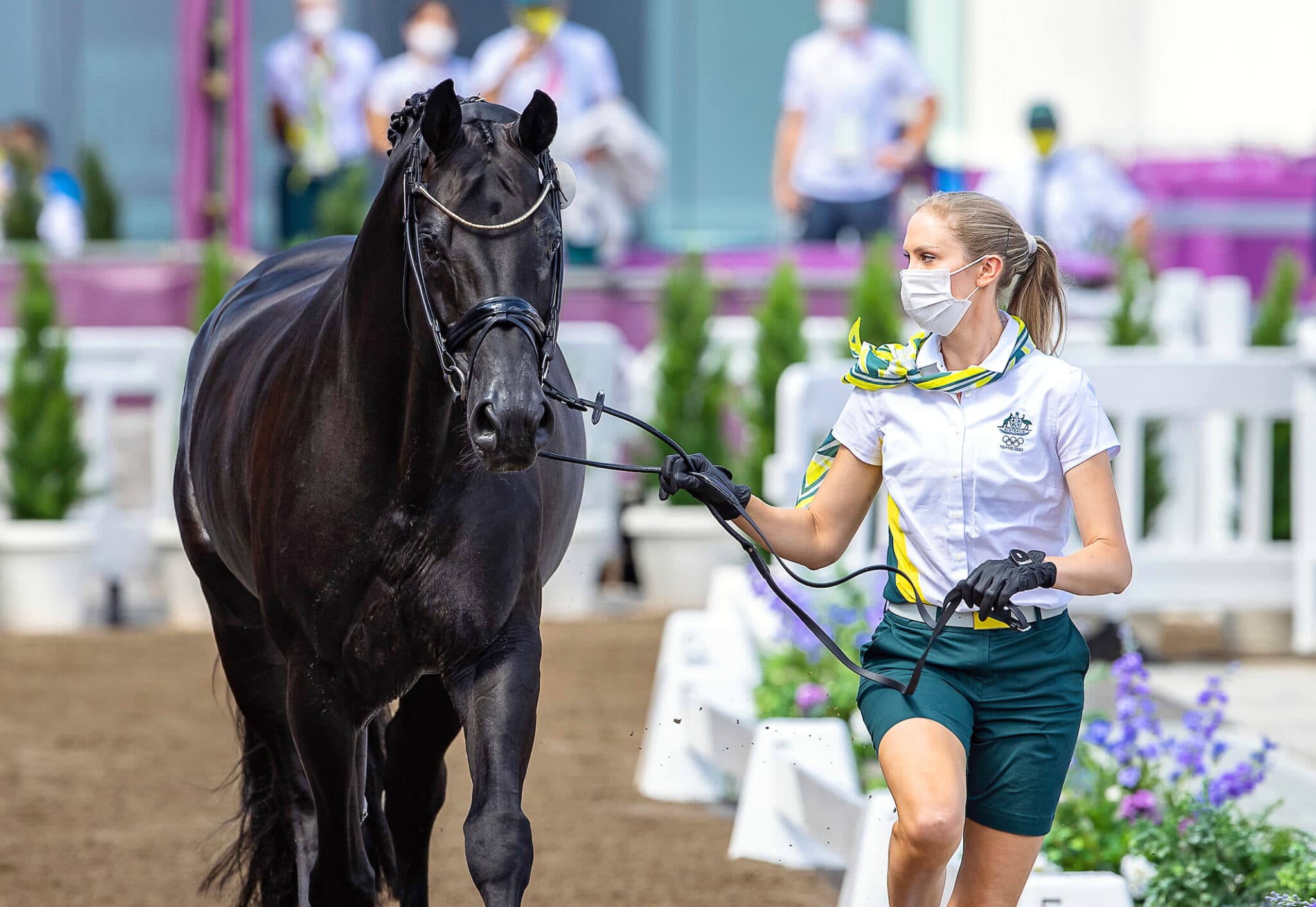 Simone Pearce Dancing with Destano - Equestrian Hub