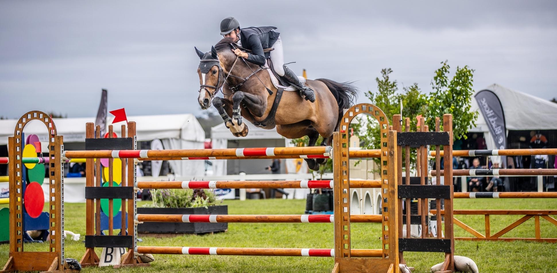 Tom McDermott - On a roll - Equestrian Hub