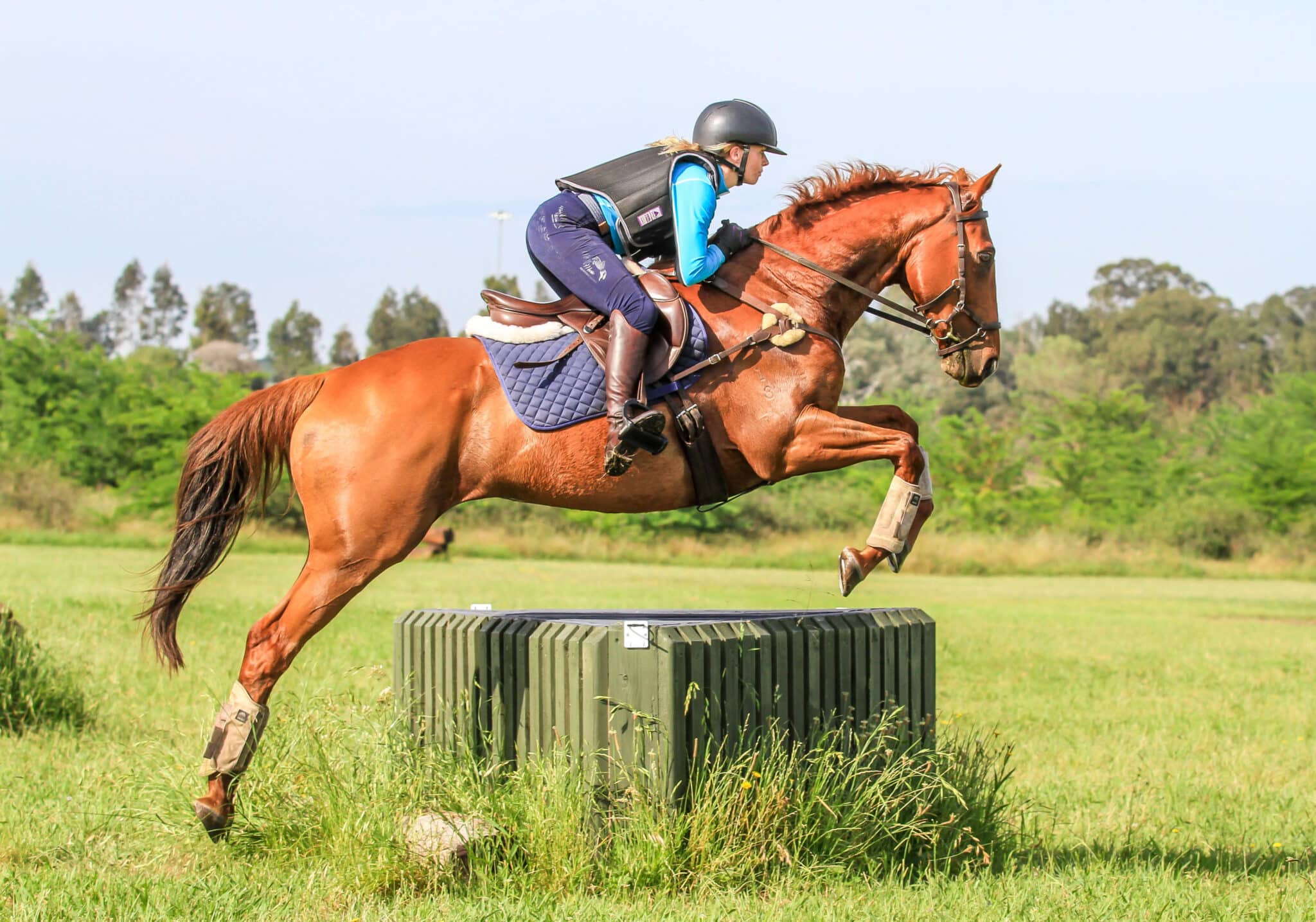Christine's Coaching - Get off your horse - Equestrian Hub