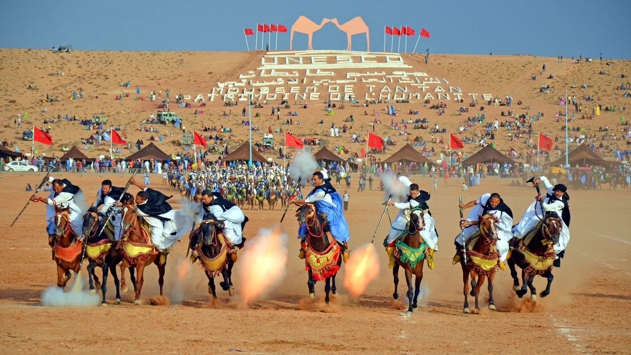 The Barb - Equestrian Hub