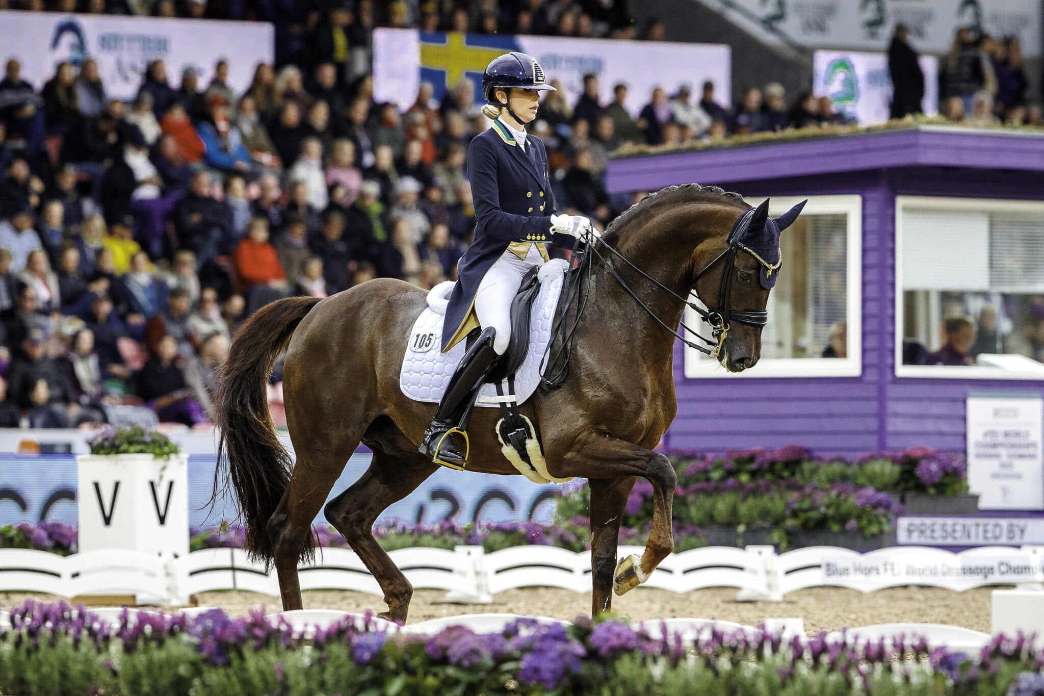 Simone Pearce shines at World Championships in Herning - Equestrian Hub