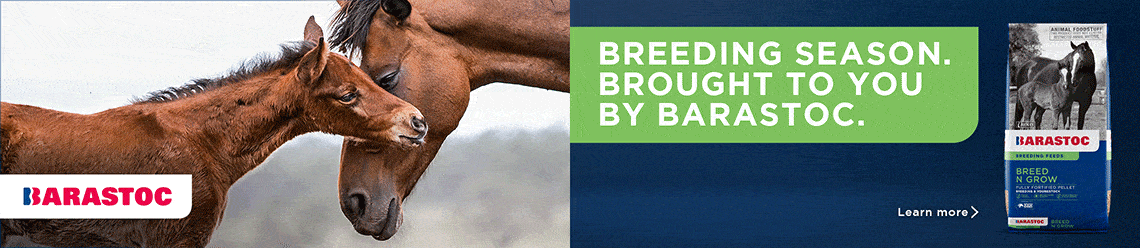 Equestrian Hub Digital Magazine