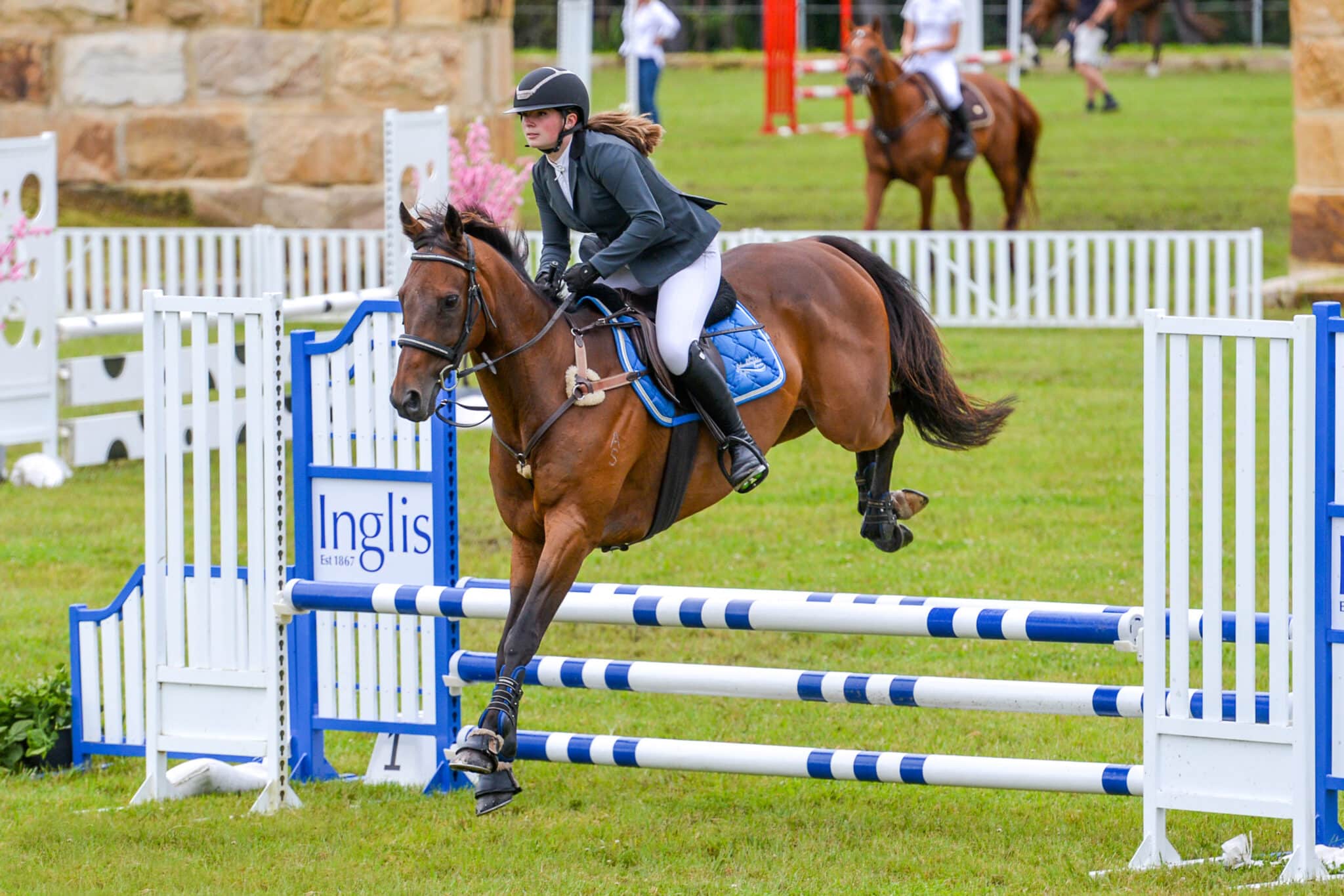 Life After Racing: A slice of Pie - Equestrian Hub