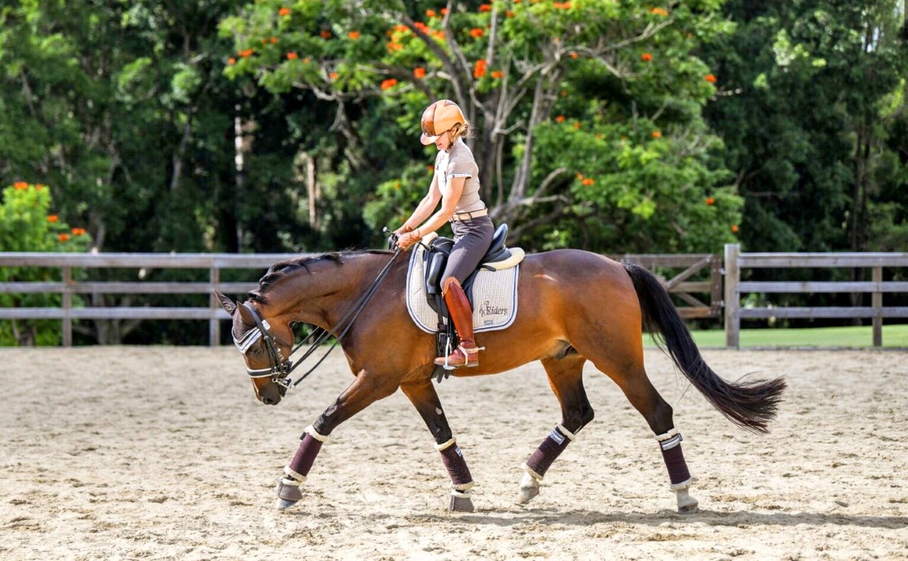 On the forehand with Nicole Tough - Equestrian Hub