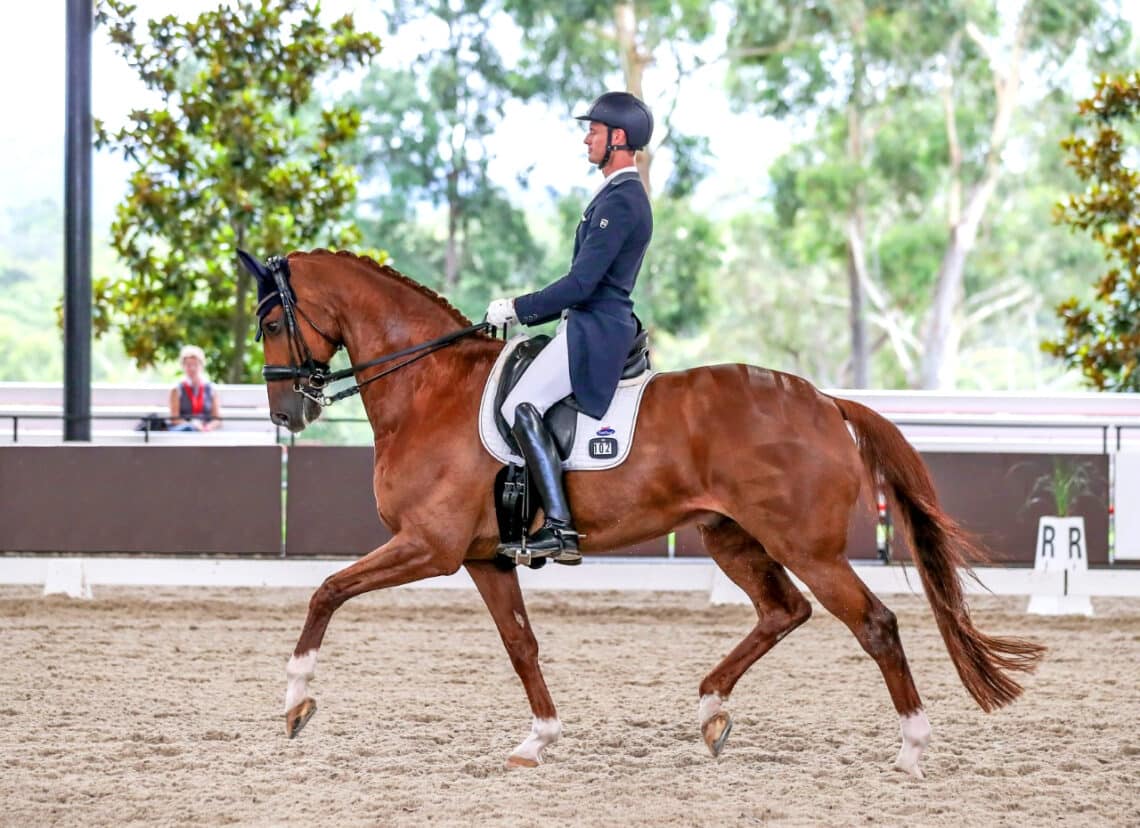 20 Questions with David McKinnon - Equestrian Hub