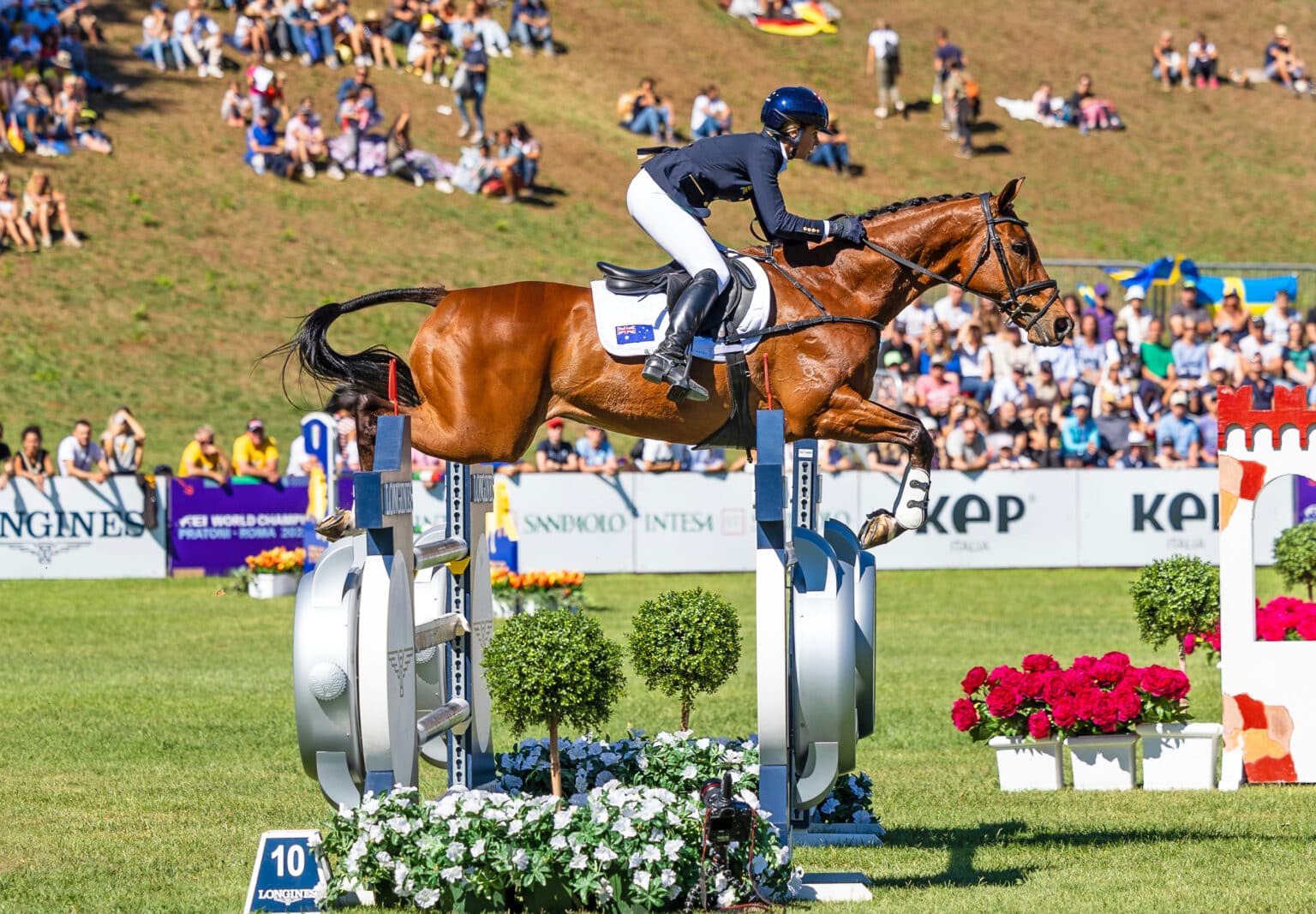 On the way to the top with Shenae Lowings - Equestrian Hub