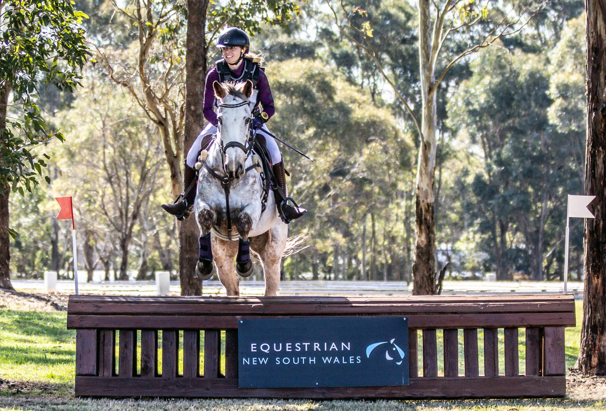 Setting up for success - Equestrian Hub