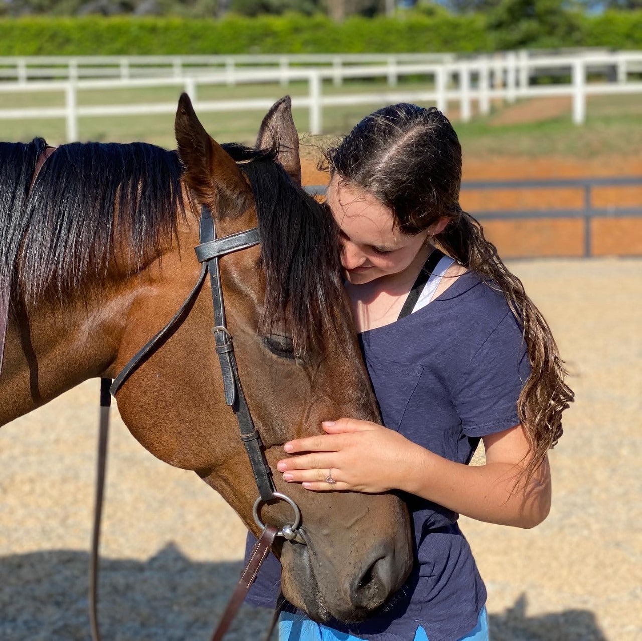 Life After Racing: Rehab4Rehab - Equestrian Hub