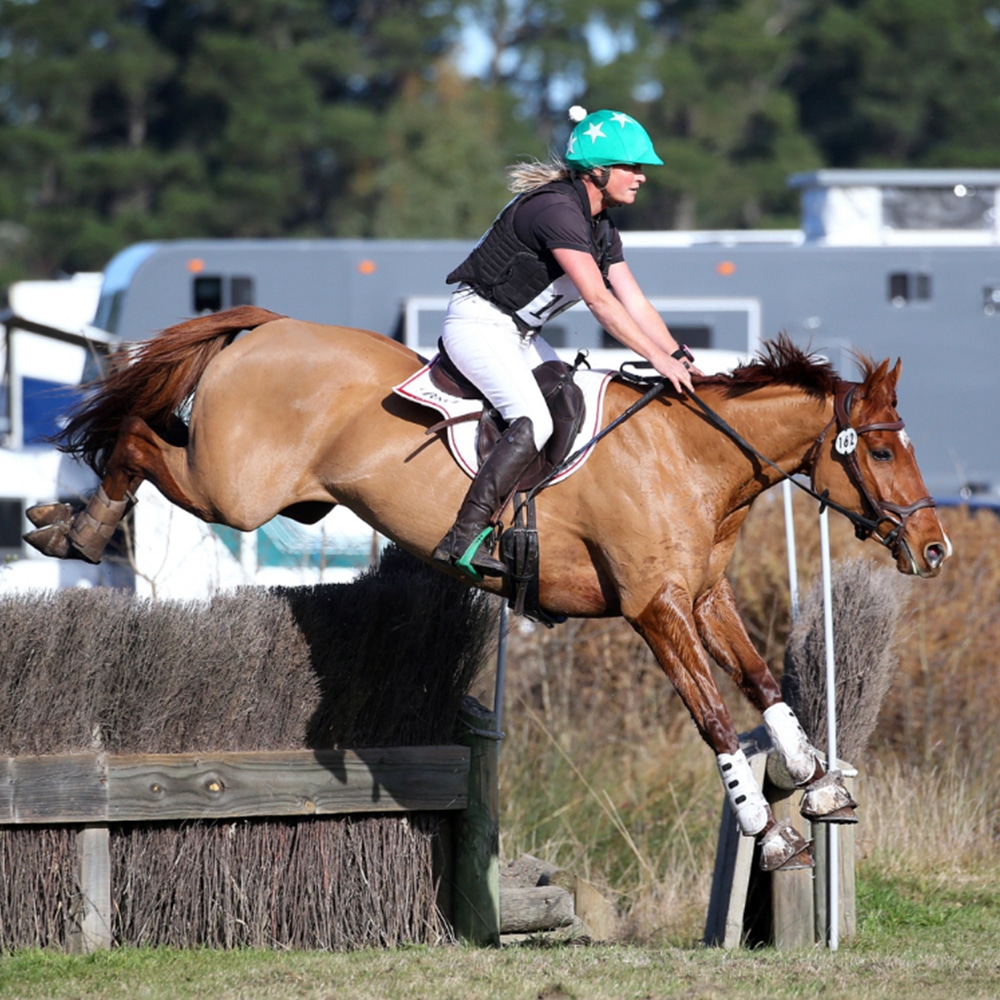 Life After Racing: Beyond Racing - Equestrian Hub