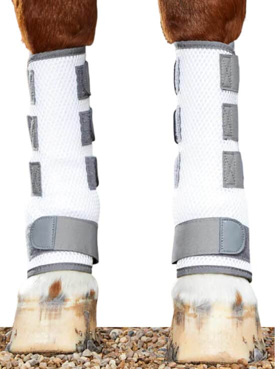 Insect Protection - Equestrian Hub