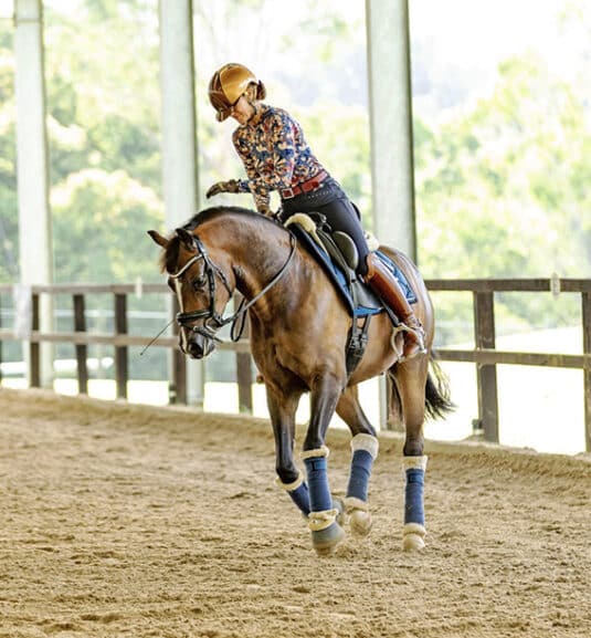 Training Throughness with Nicole Tough - Equestrian Hub