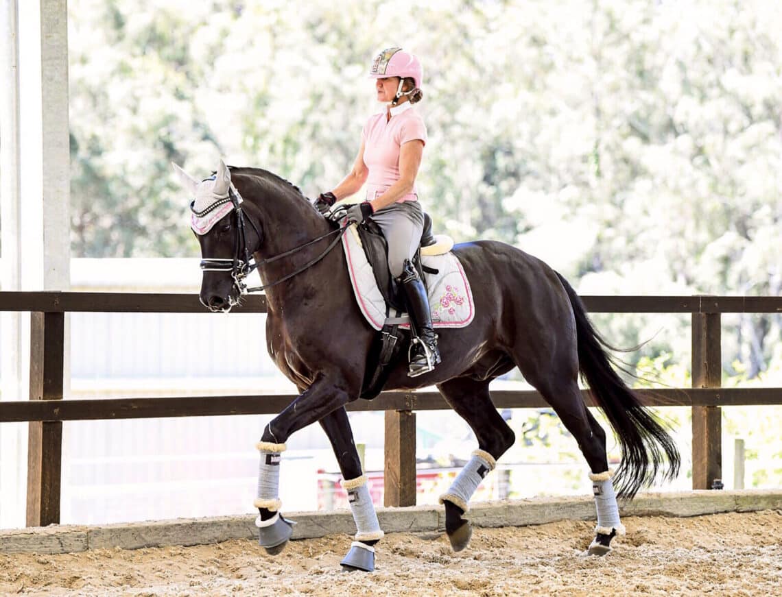 Nicole Tough Dressage: Introducing the double bridle - Equestrian Hub