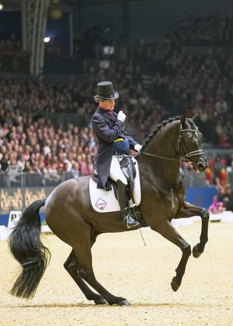 Tristan Tucker and the art of Zen - Equestrian Hub