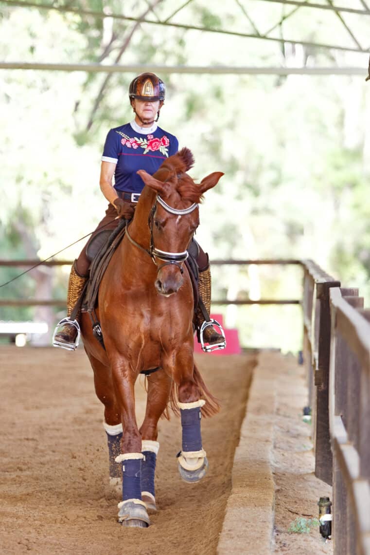 Nicole Tough Dressage: The Counter Canter - Equestrian Hub