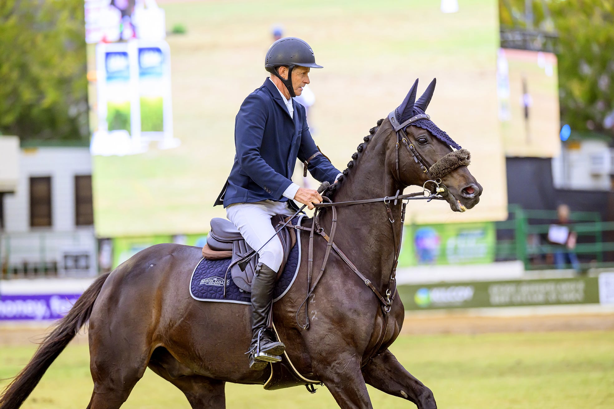 Life After Racing: Where’s Cameron - Equestrian Hub