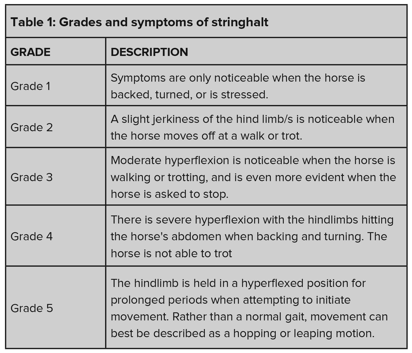 Vet vibes: Stringhalt – its symptoms, causes and treatment - Equestrian Hub