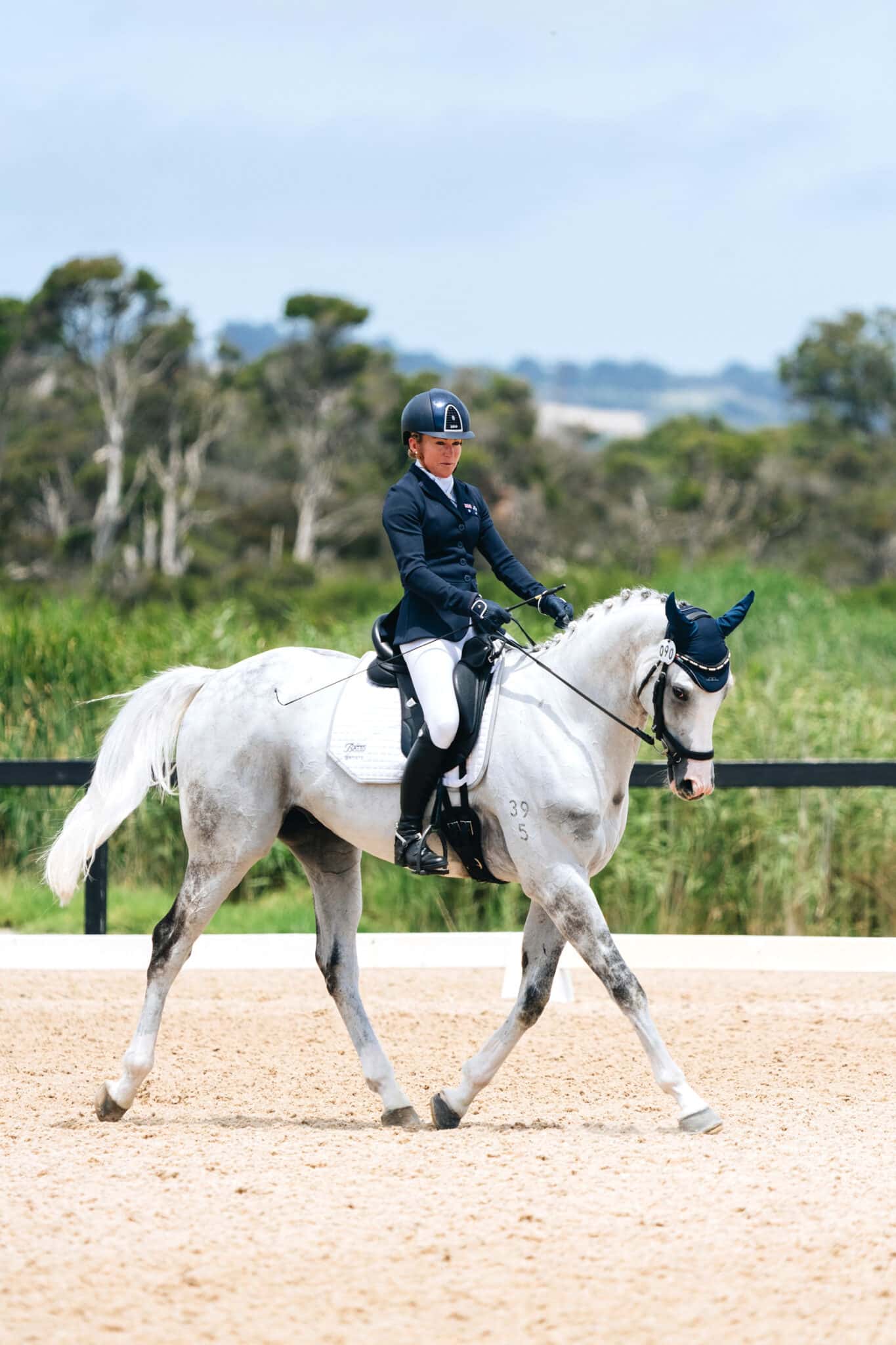 Nutrition: Feeding your Thoroughbred - Equestrian Hub