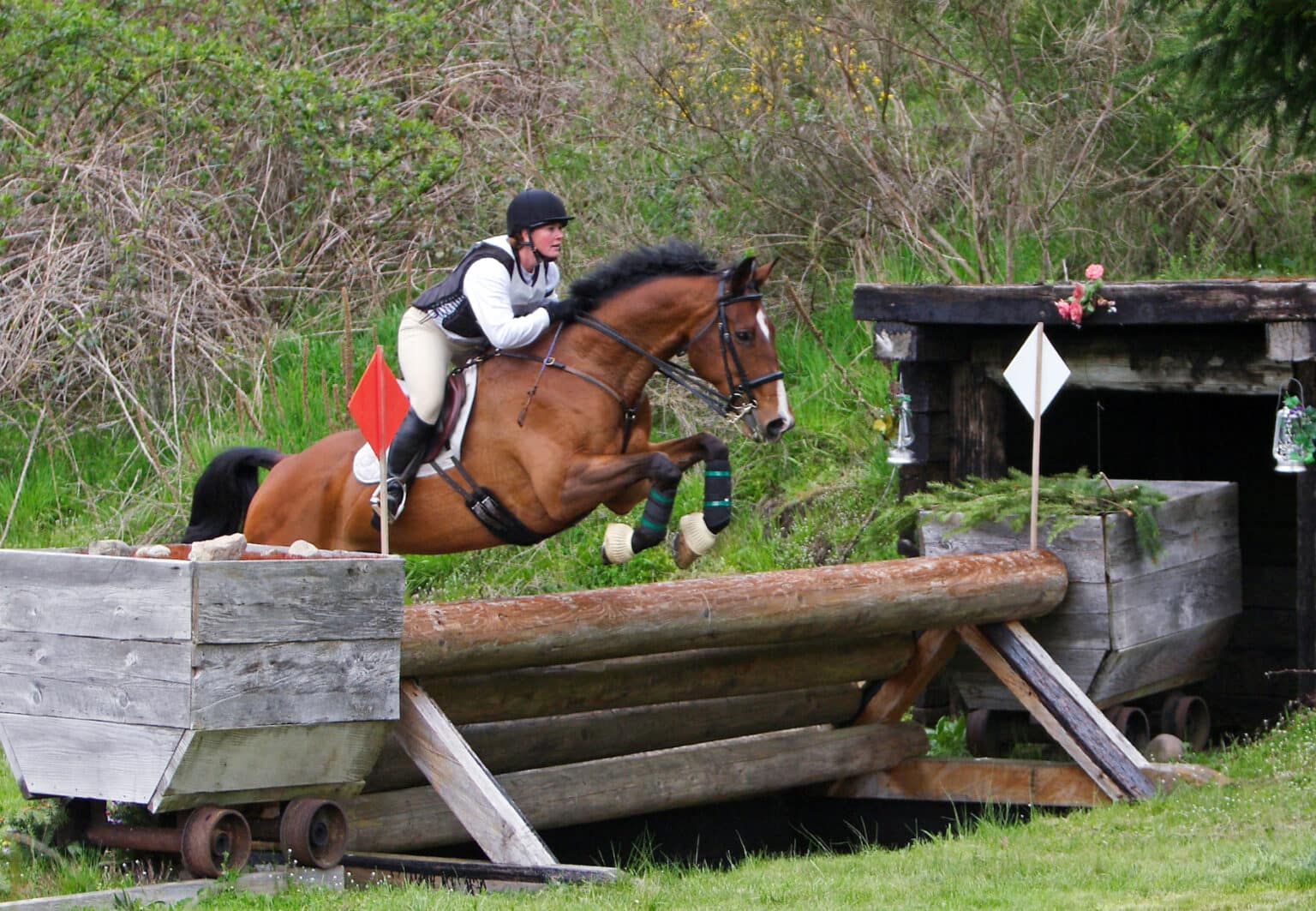 The importance of an adjustable canter - Equestrian Hub