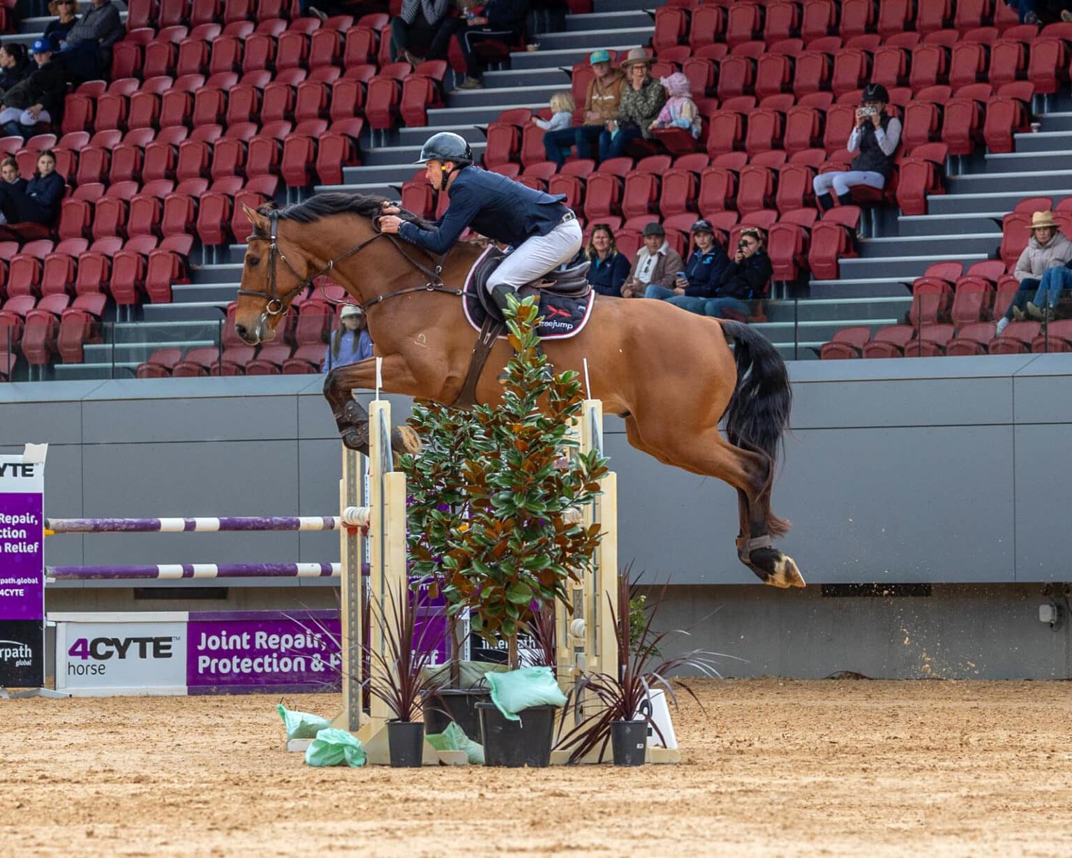 The importance of an adjustable canter - Equestrian Hub