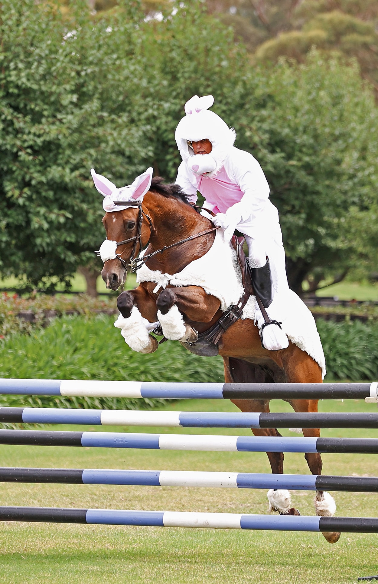 Feature: Game on at Wallaby Hill - Equestrian Hub